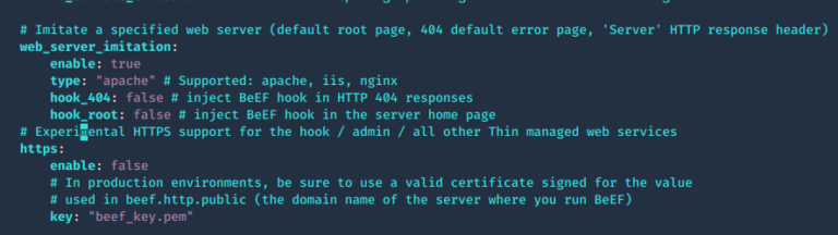 Introduction - Hacking with BeEF | VK9 Security