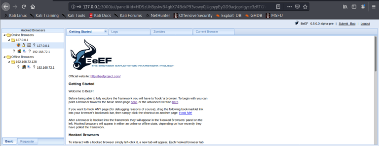 Introduction – Hacking with BeEF | VK9 Security
