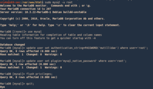 How to set up Mutillidae – Linux | VK9 Security