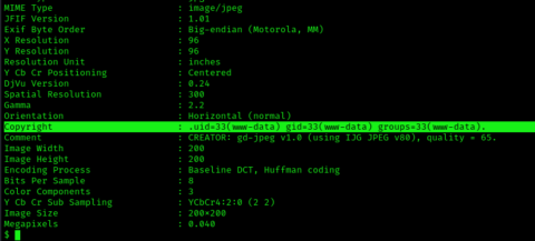 ExifTool 12.23 - Arbitrary Code Execution - (Privilege escalation) - CVE-2021-22204 | VK9 Security
