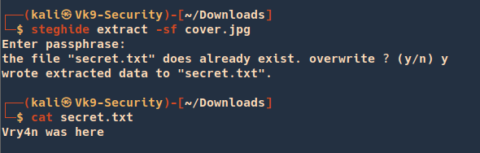 Steganography with Steghide | VK9 Security